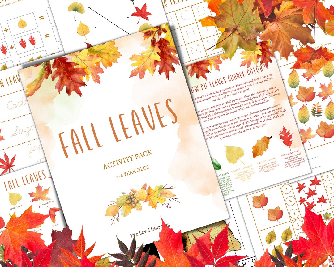 AUTUMN LEAVES Pre-k and K Activity Pack, Homeschool, Digital, Instant ...