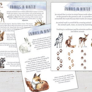 WINTER ANIMALS Unit Study, Life Cycle, Anatomy, Nature Study, Science ...