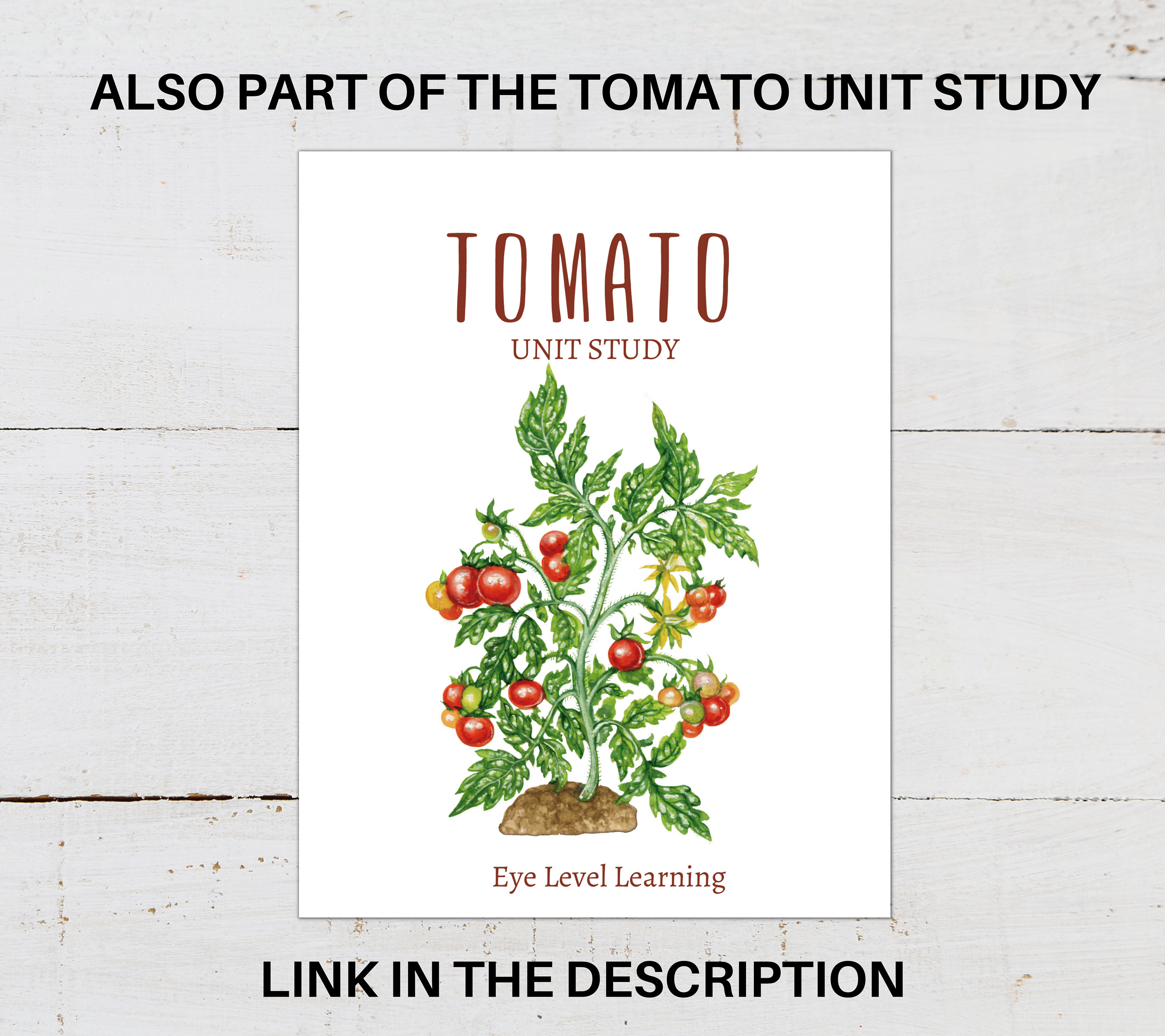 Tomato Anatomy Posters, Labeling and Tracing Activity, Homeschool ...