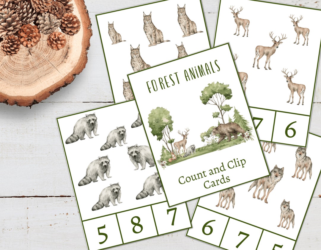 FOREST Animals Count and Clip Cards, 1 to 12 Counting, Activity for ...
