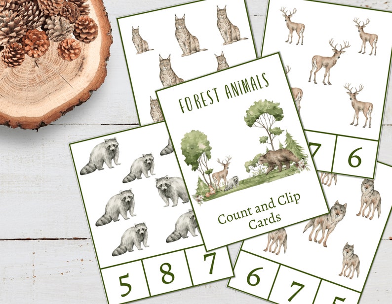 FOREST Animals Count and Clip Cards, 1 to 12 Counting, Activity for ...