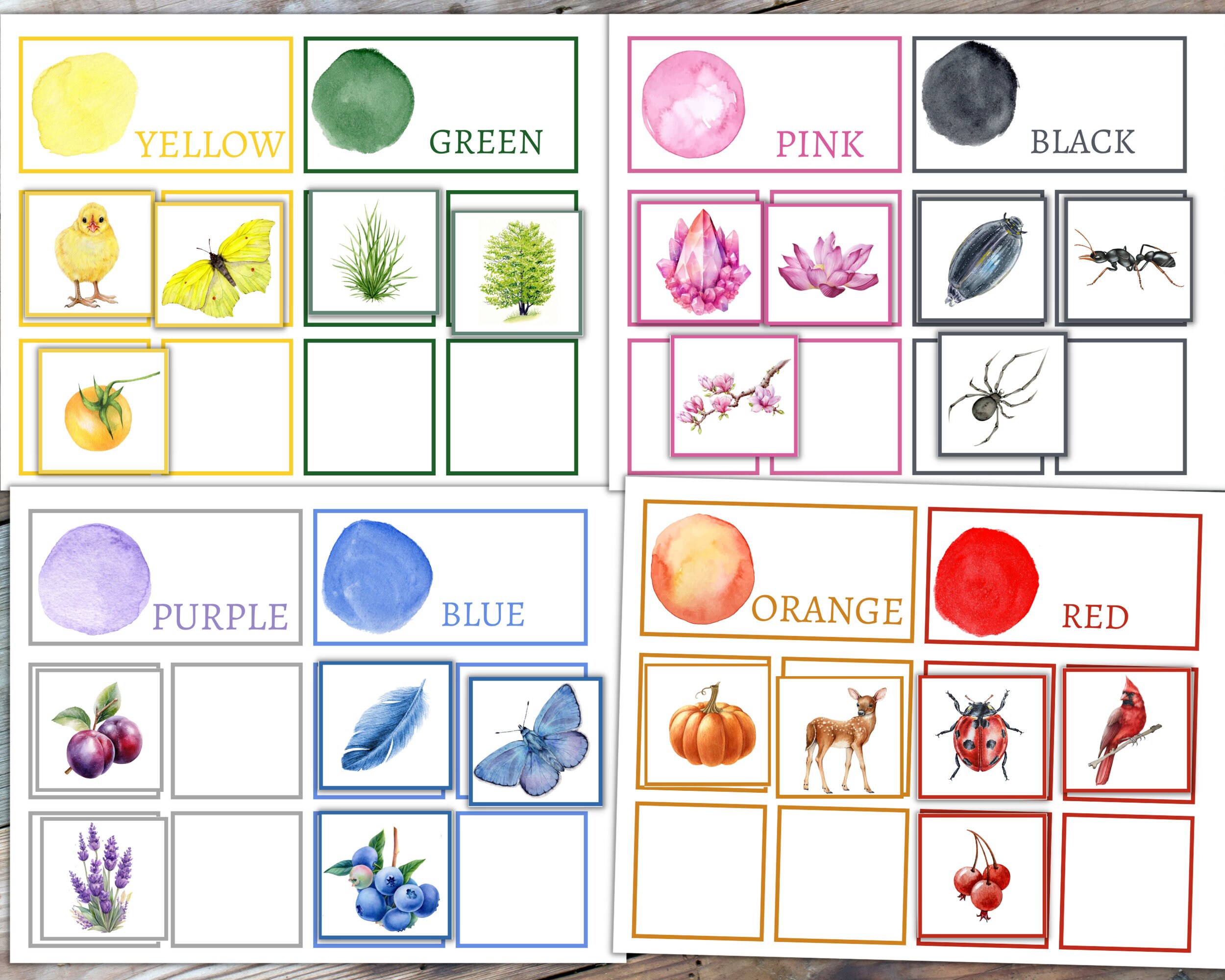 COLORS in Nature Activities Flashcards Color Flashcards - Etsy