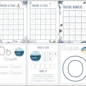 OCEAN Animals Pre-k and K Activity Pack, Homeschool, Digital, INSTANT ...