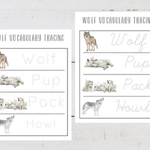 WOLF Mini Unit Study, Life Cycle, Anatomy, Nature Study, Science ...