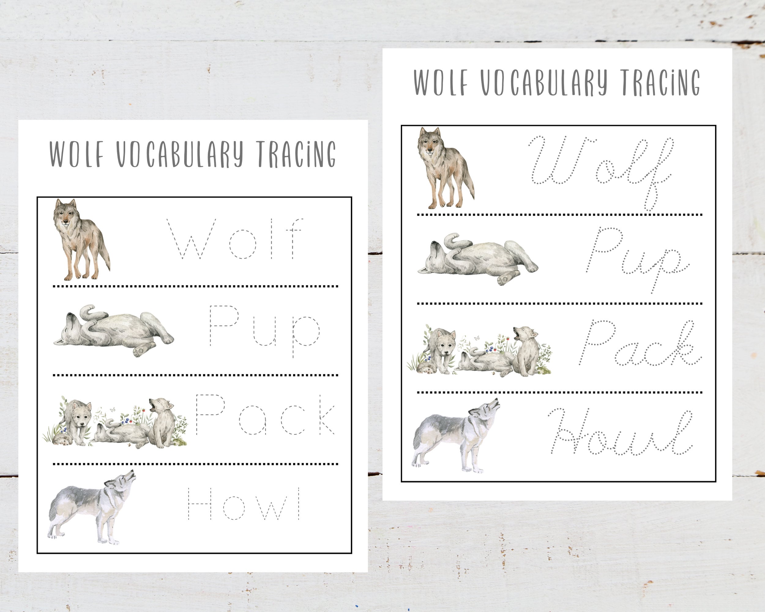 WOLF Mini Unit Study, Life Cycle, Anatomy, Nature Study, Science ...