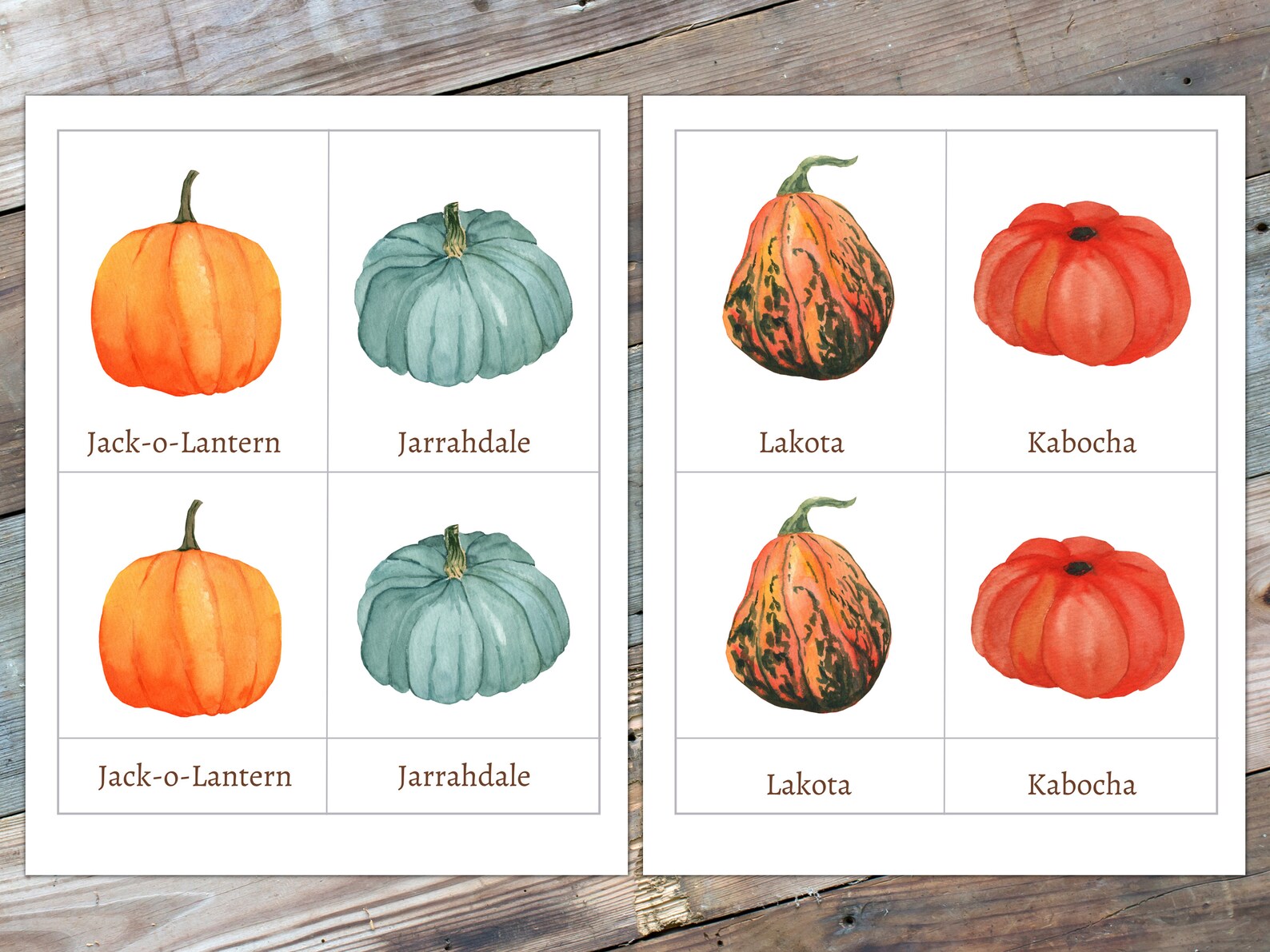 PUMPKIN Varieties Mini Poster + 3-part Cards, Homeschool, Montessori ...