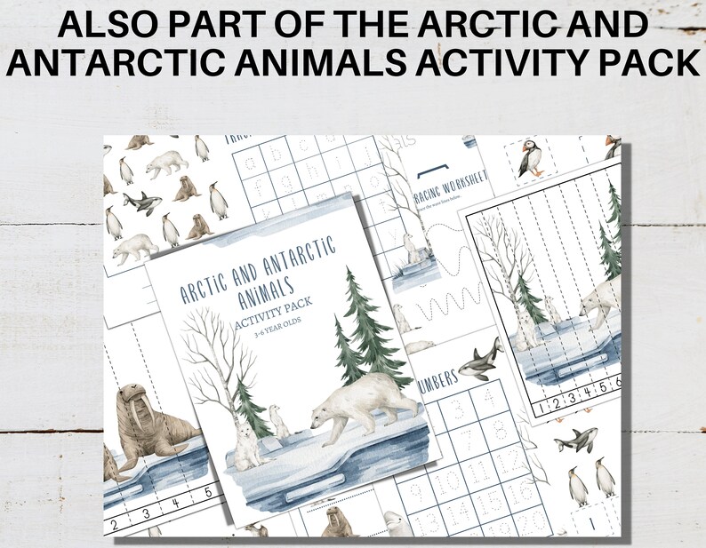 POLAR Animals Simple Puzzles, Printable, Preschool Activity, Kids ...