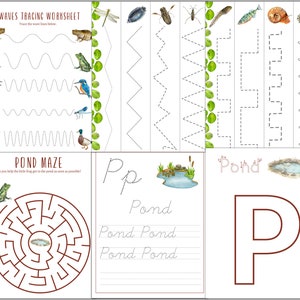 POND LIFE Unit Study, Life Cycle, Anatomy, Nature Study, Science ...