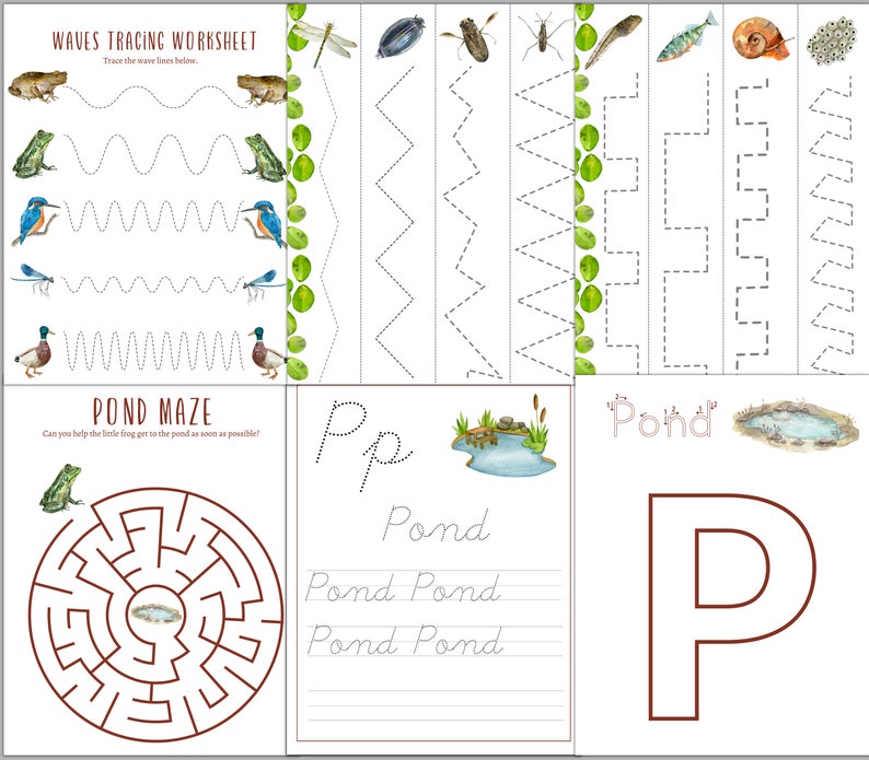 POND LIFE Unit Study, Life Cycle, Anatomy, Nature Study, Science ...