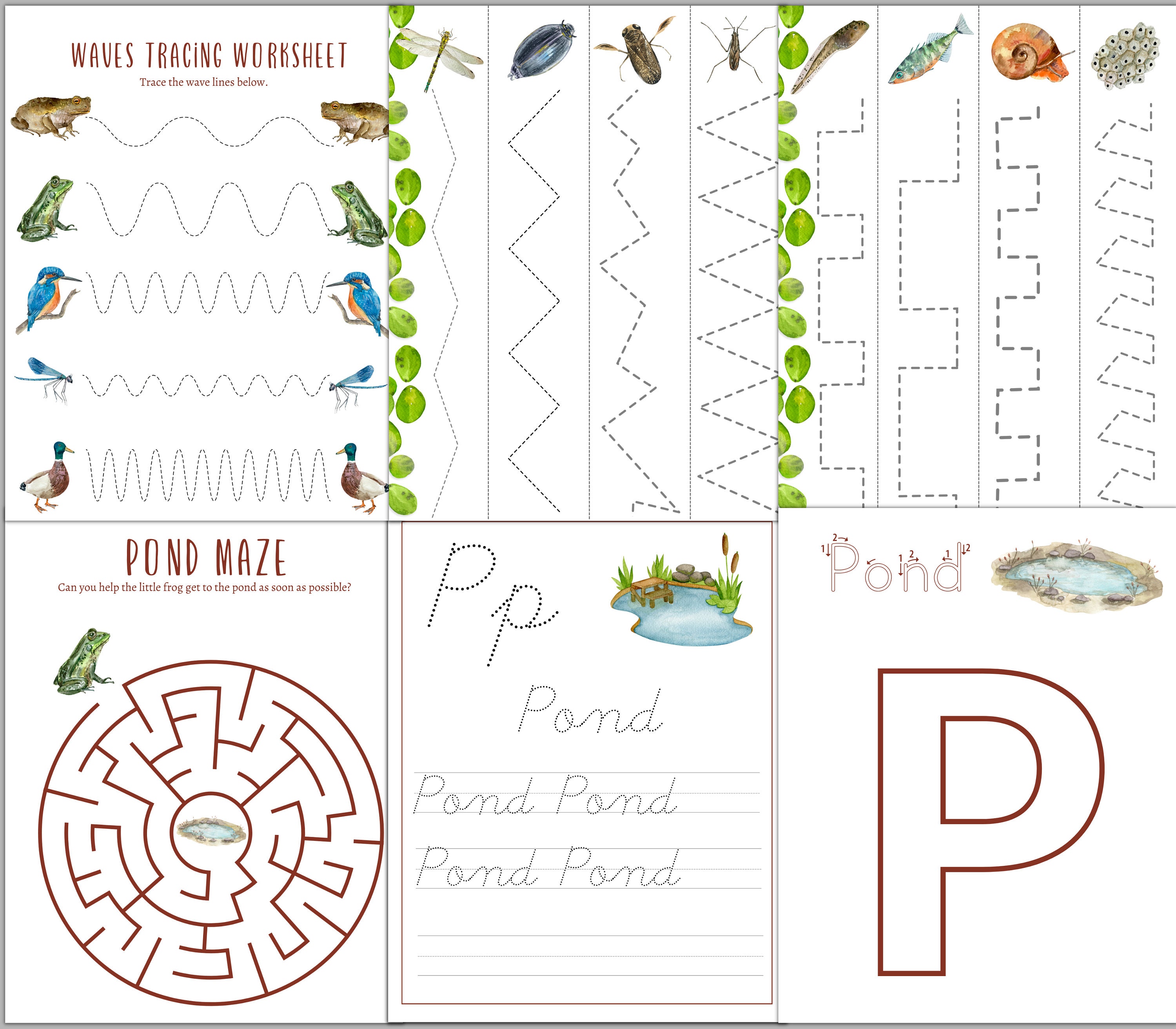 POND LIFE Unit Study Life Cycle Anatomy Nature Study - Etsy Australia