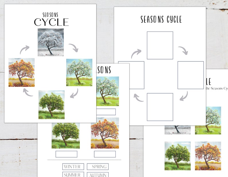 The Four Seasons Nature Study, Seasons Activities, Science, Handwriting ...