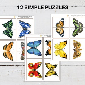 BUTTERFLY Pre-k and K Activity Pack, Homeschool, Digital, Instant ...