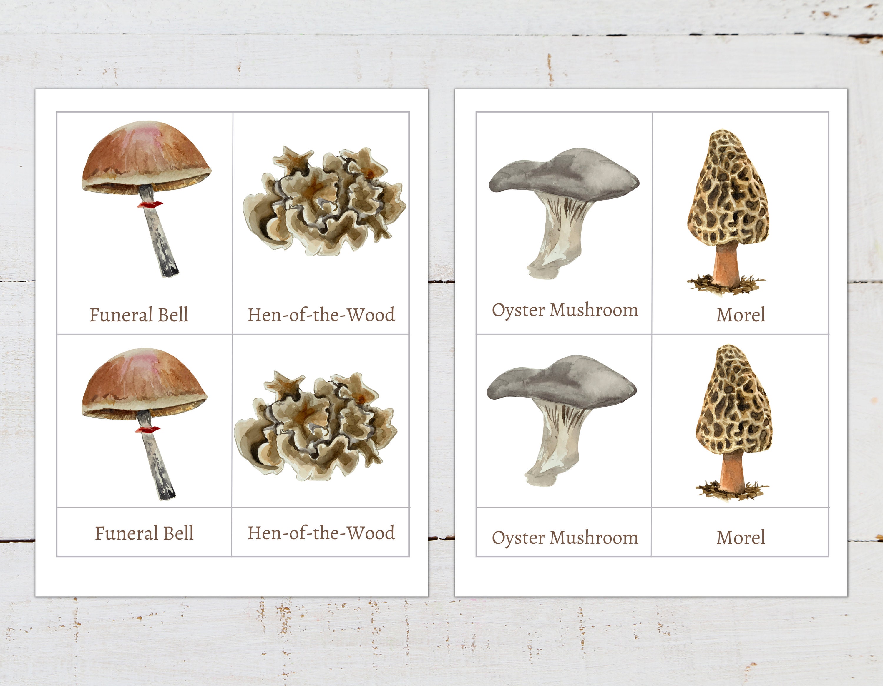 MUSHROOMS Mini Poster + 3-part Cards, 19 Mushrooms, Homeschool ...