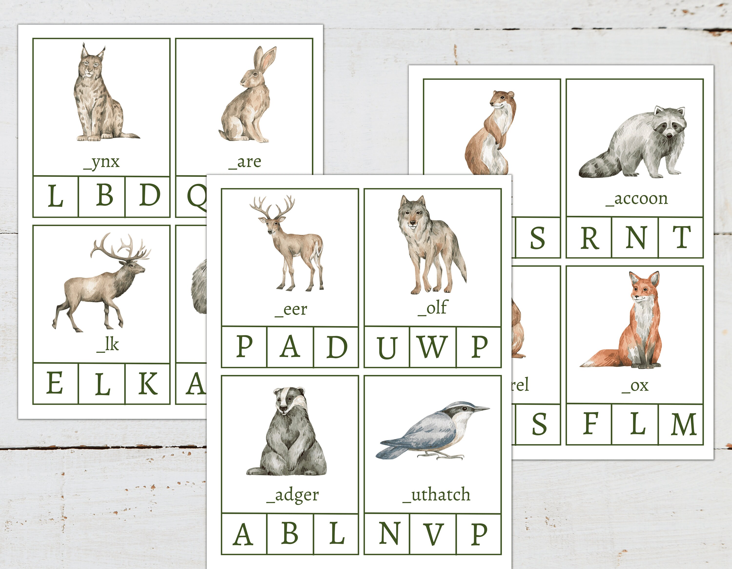 FOREST Animals Initial Letter Clip Cards, 12 Cards, Activity for Kids ...
