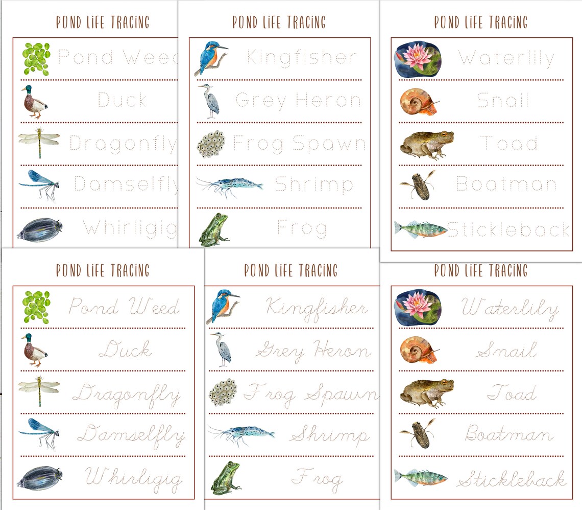 POND LIFE Unit Study, Life Cycle, Anatomy, Nature Study, Science ...