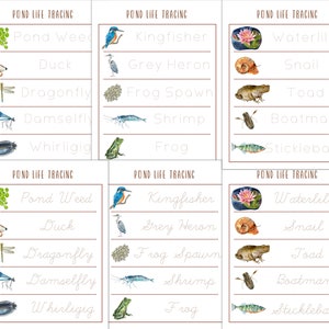 POND LIFE Unit Study, Life Cycle, Anatomy, Nature Study, Science ...