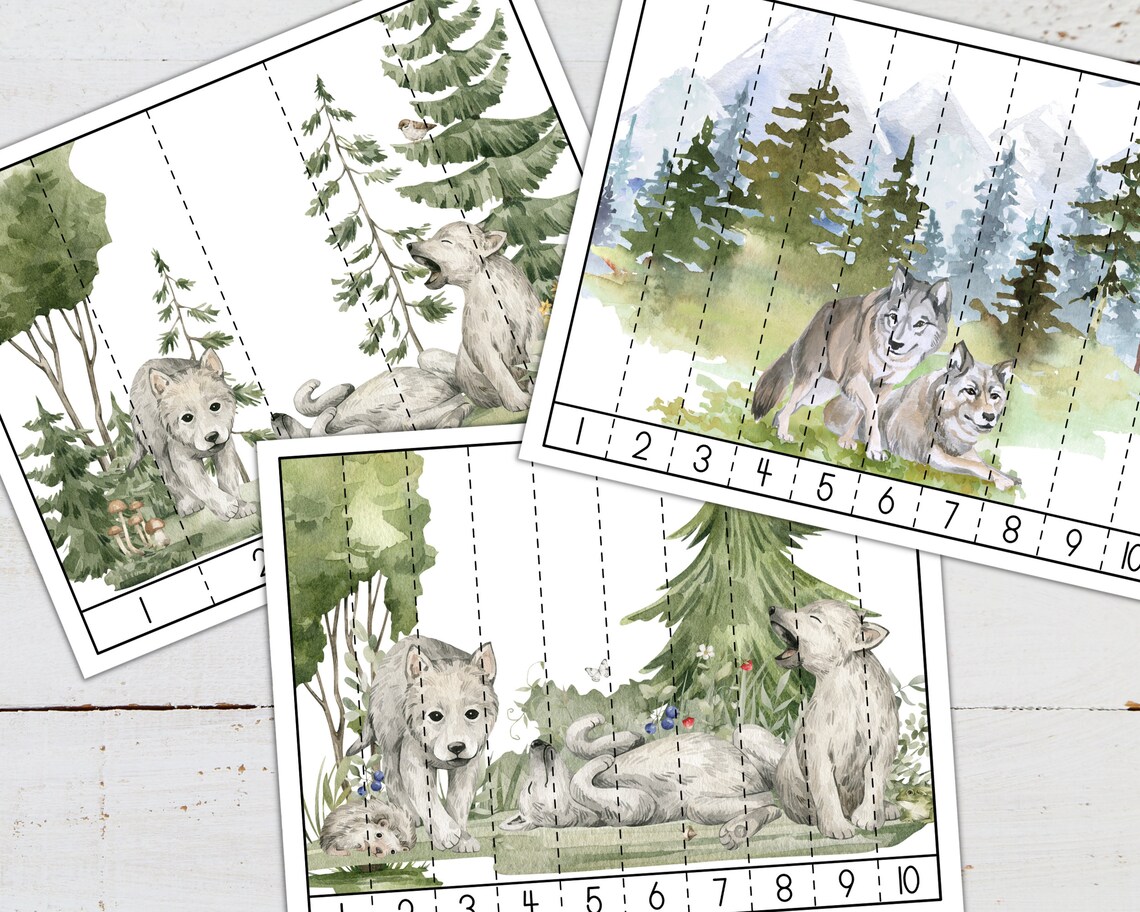 WOLF Mini Unit Study, Life Cycle, Anatomy, Nature Study, Science ...