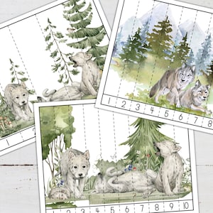 WOLF Mini Unit Study, Life Cycle, Anatomy, Nature Study, Science ...