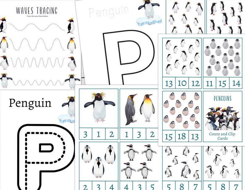PENGUINS Unit Study Life Cycle Anatomy Nature Study - Etsy