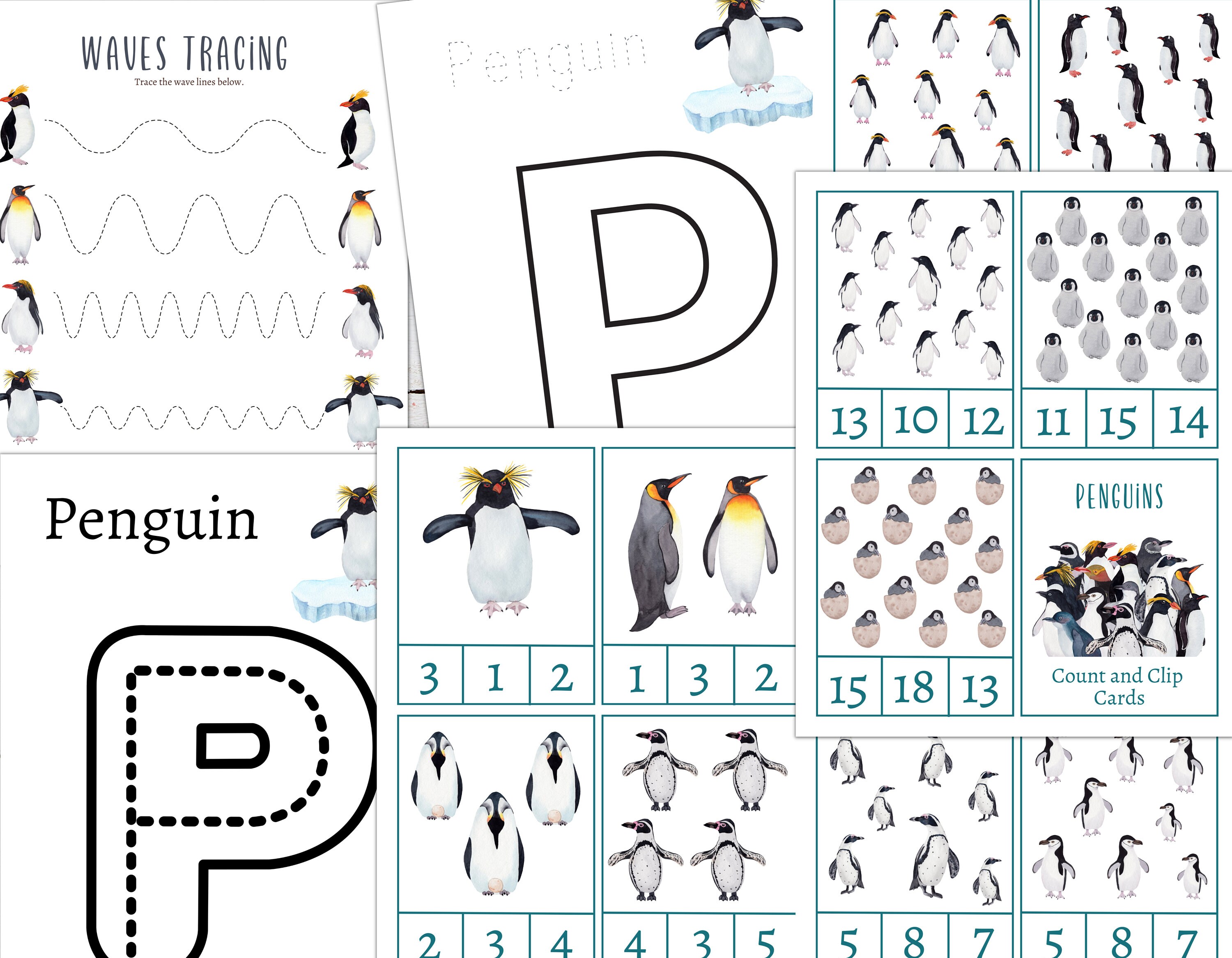 PENGUINS Unit Study, Life Cycle, Anatomy, Nature Study, Science ...