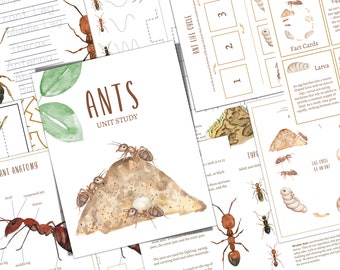 Black Garden Ant Anatomy Life Cycle - Etsy