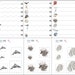OCEAN Animals Pre-k and K Activity Pack, Homeschool, Digital, INSTANT ...