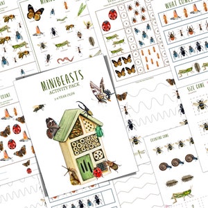 SUMMER BUNDLE, Summer Camping, Butterfly, Forest and Minibeasts ...