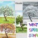 The Four Seasons Nature Study, Seasons Activities, Science, Handwriting ...