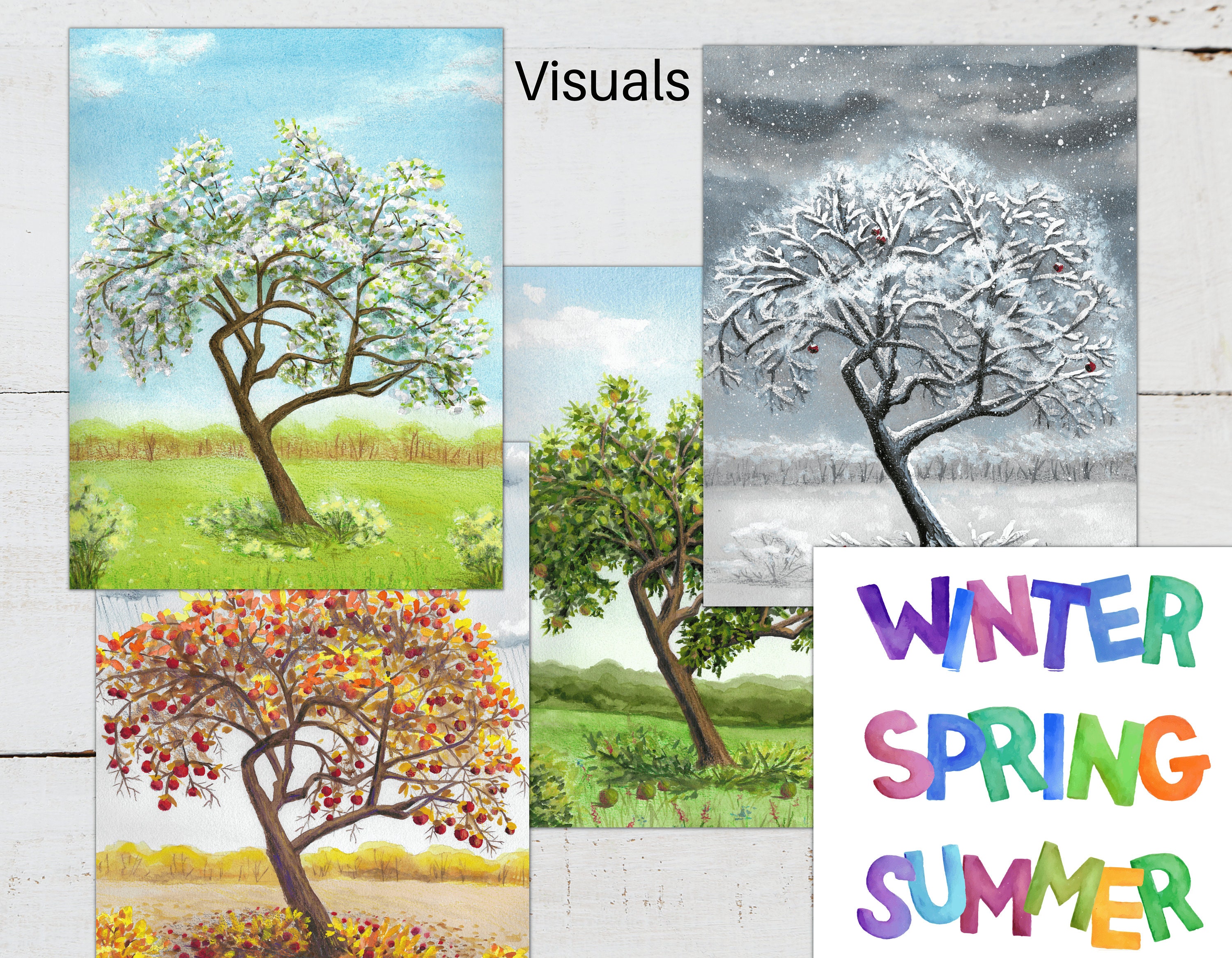 The Four Seasons Nature Study, Seasons Activities, Science, Handwriting ...
