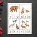FOREST ANIMALS Count and Clip Cards, 1 to 10 Counting, Forest Animals ...
