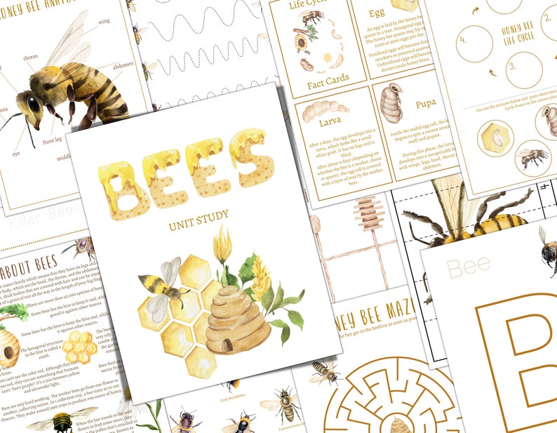 INSECTS BUNDLE Bees Ants Ladybug Butterflies Unit Studies - Etsy