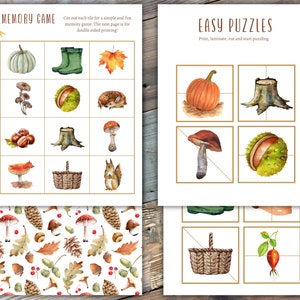 AUTUMN FOREST Pre-k and K Activity Pack, Homeschool, Digital, Instant ...