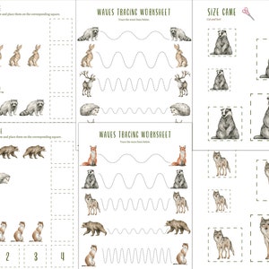 FOREST Animals Pre-k and K Activity Pack, Homeschool, Digital, INSTANT ...