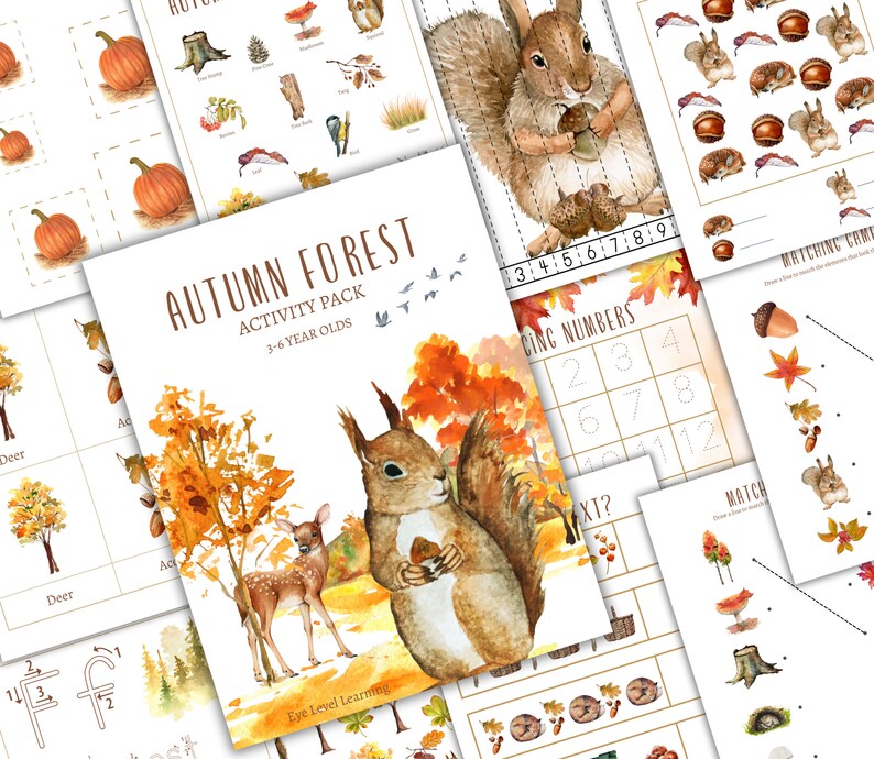 AUTUMN BUNDLE, 4 Activity Packs Available Separately, Pre-k ...