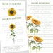 SUNFLOWER Unit Study, Life Cycle, Anatomy, Nature Study, Science ...