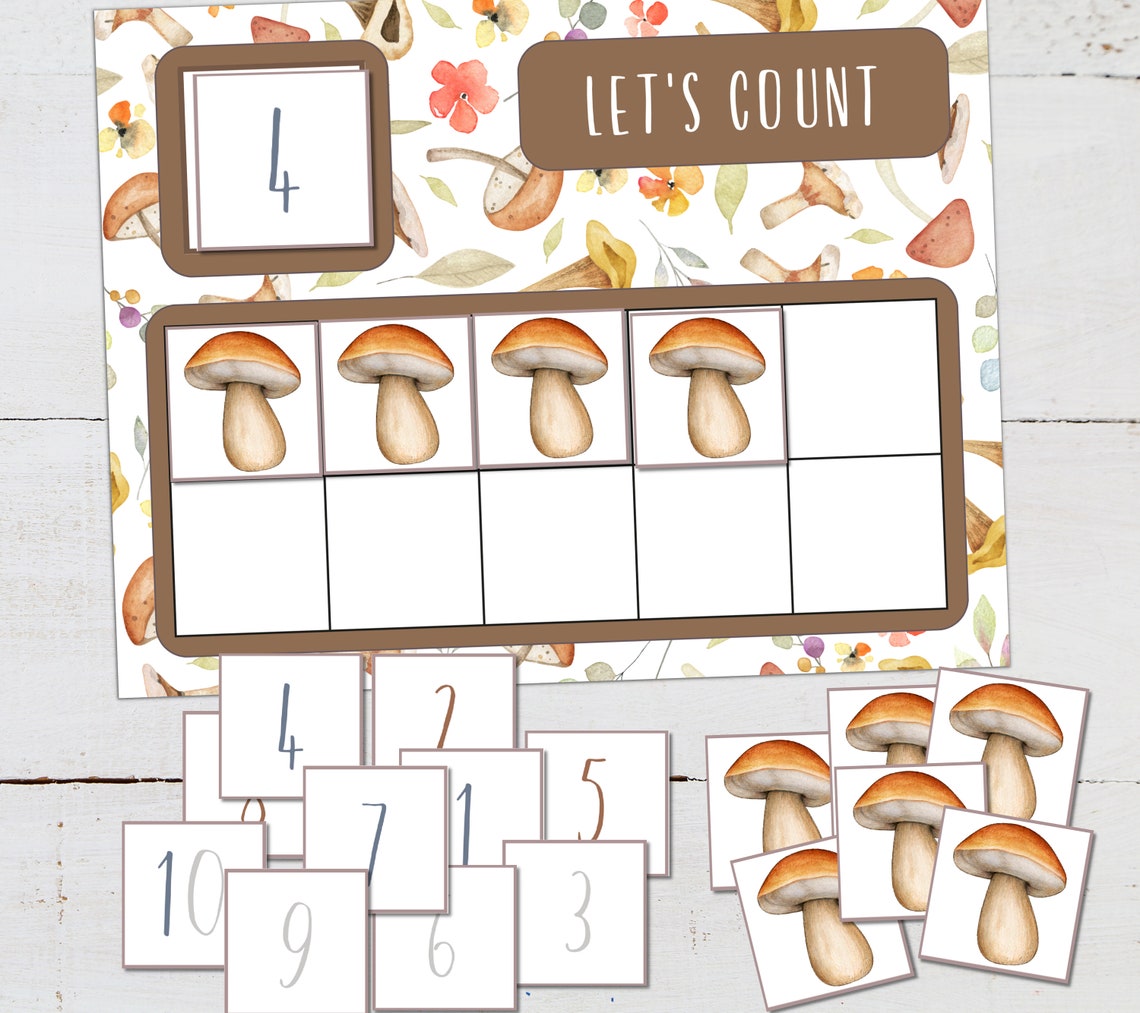 MUSHROOM Unit Study Life Cycle Anatomy Nature Study - Etsy