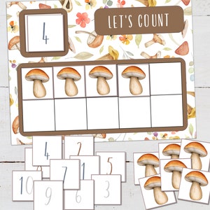 MUSHROOM Unit Study, Life Cycle, Anatomy, Nature Study, Science ...