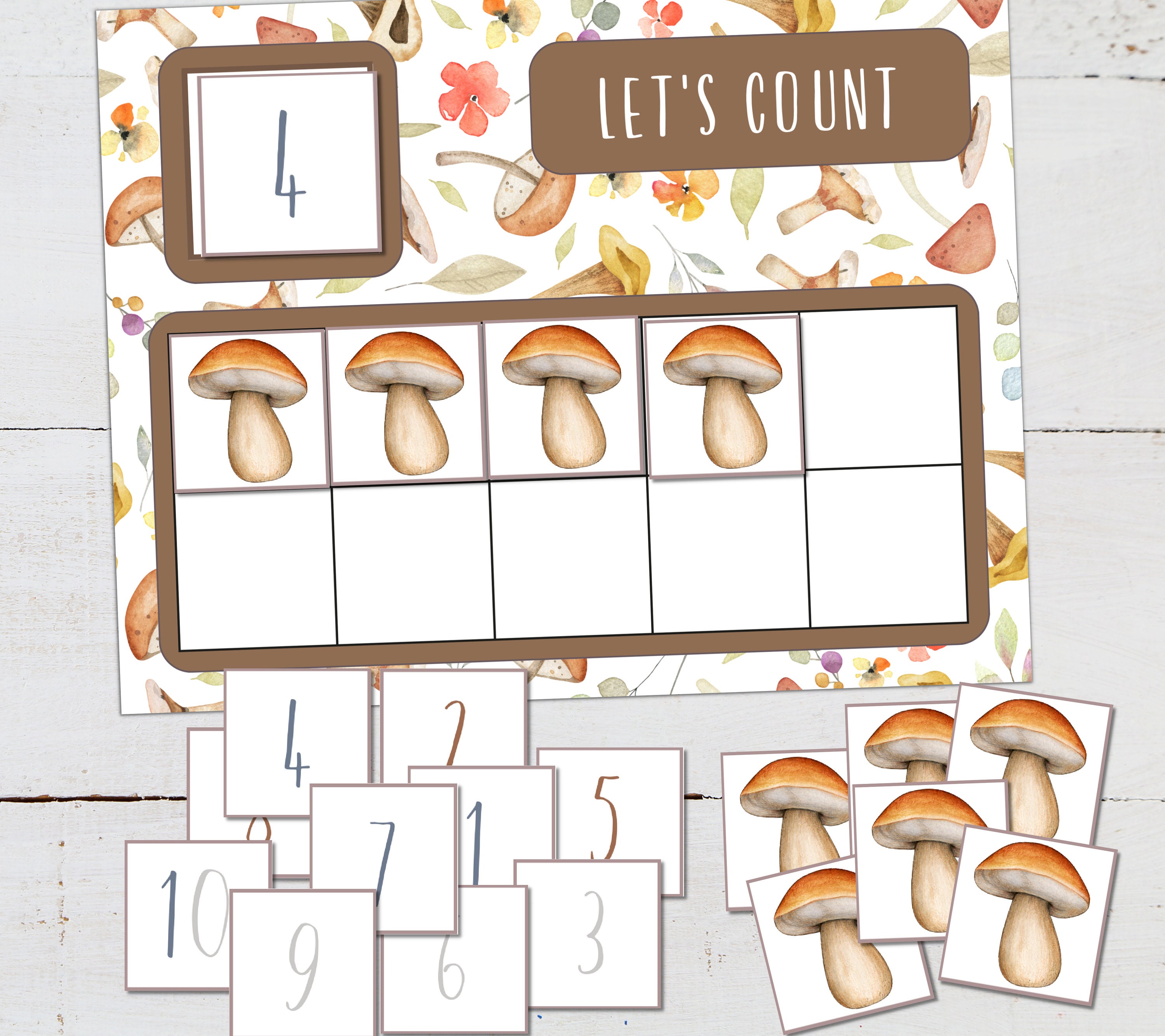 MUSHROOM Unit Study Life Cycle Anatomy Nature Study - Etsy