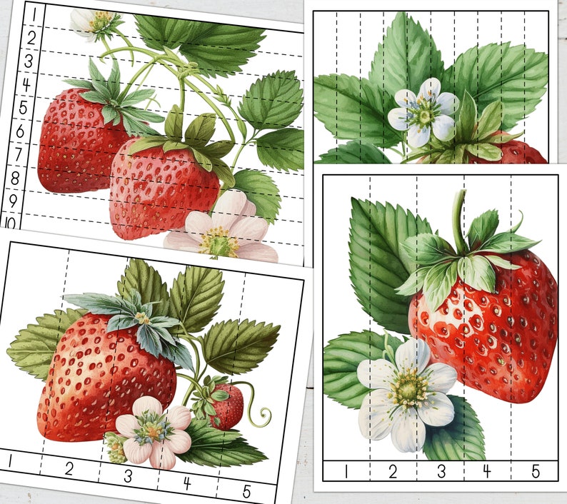 STRAWBERRY Unit Study Life Cycle Anatomy Nature Study - Etsy