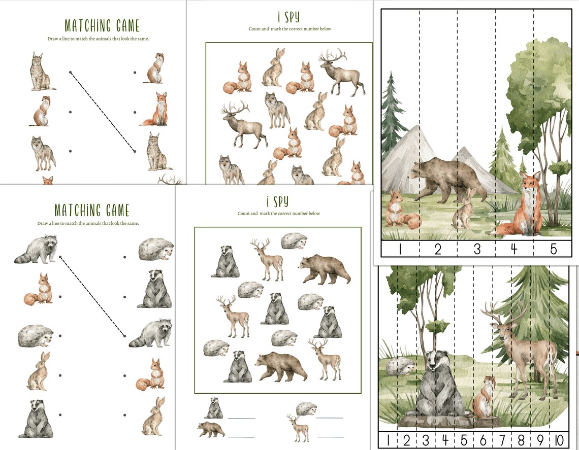 FOREST Animals Pre-k and K Activity Pack, Homeschool, Digital, INSTANT ...