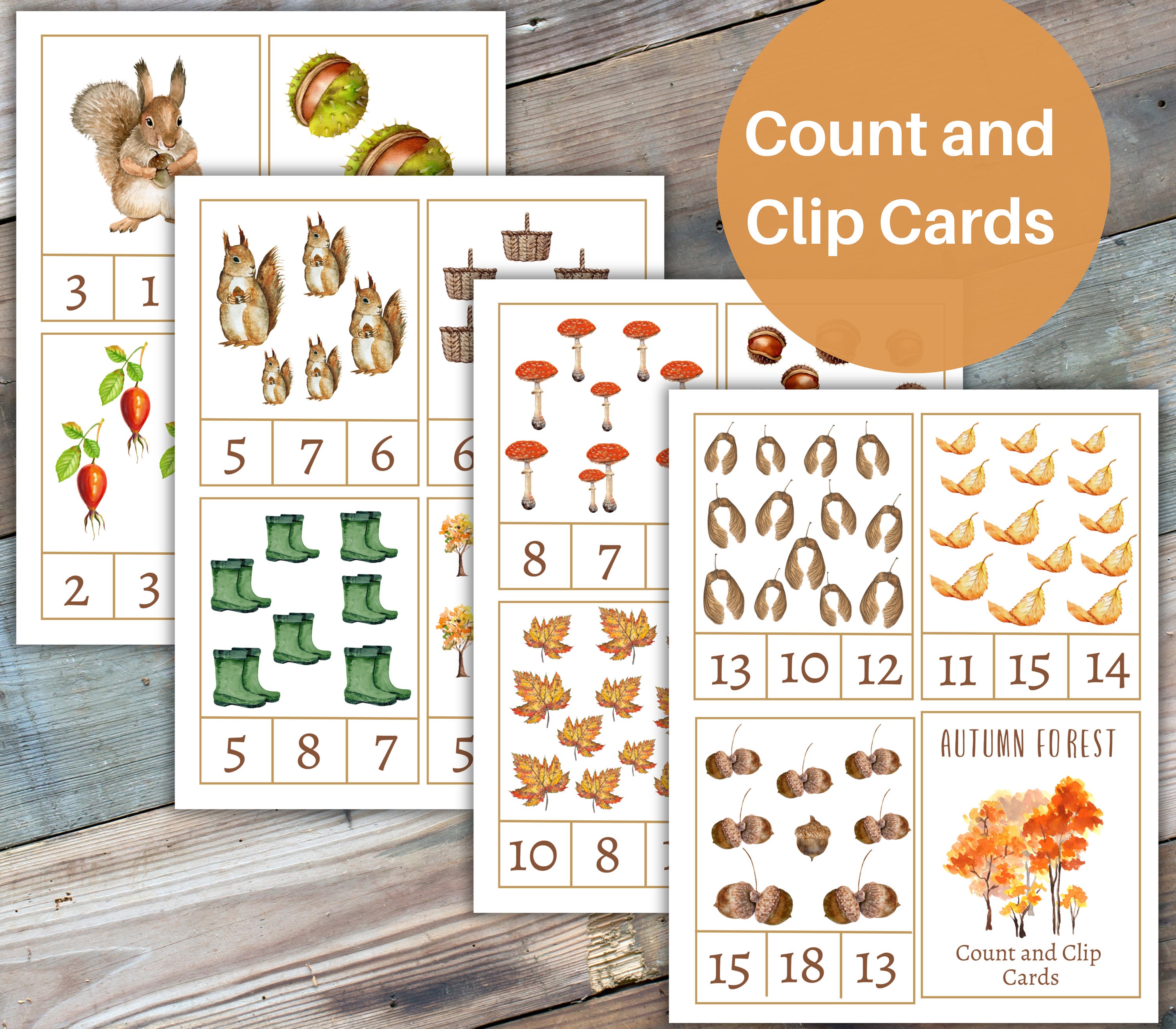 AUTUMN FOREST Pre-k and K Activity Pack, Homeschool, Digital, Instant ...