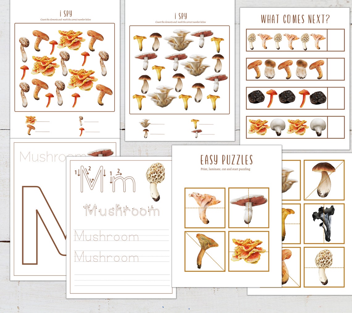 MUSHROOM Unit Study Life Cycle Anatomy Nature Study - Etsy