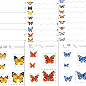BUTTERFLY Pre-k and K Activity Pack, Homeschool, Digital, Instant ...