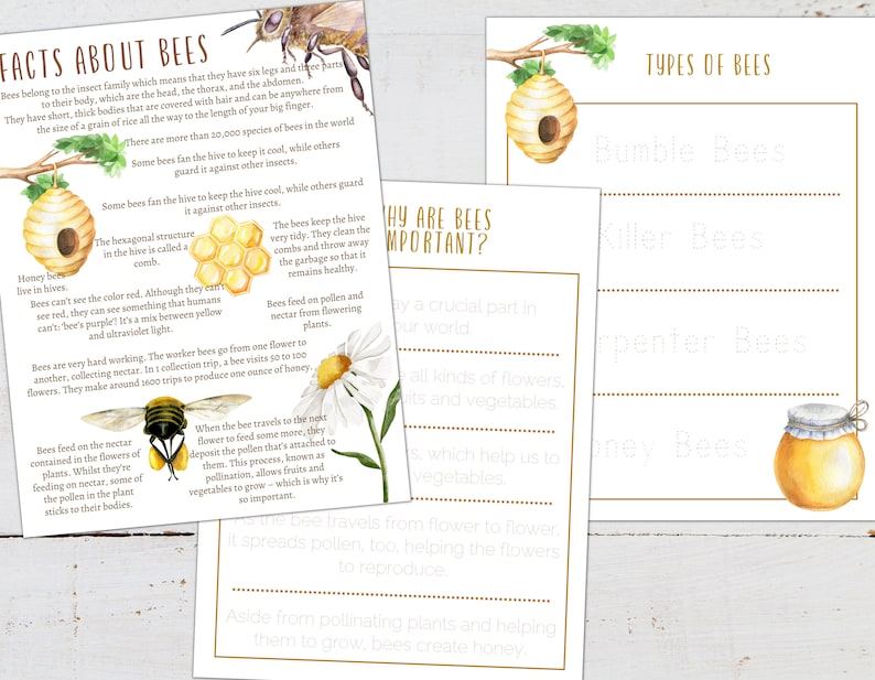 BEE Unit Study, Life Cycle, Anatomy, Nature Study, Science, Homeschool ...