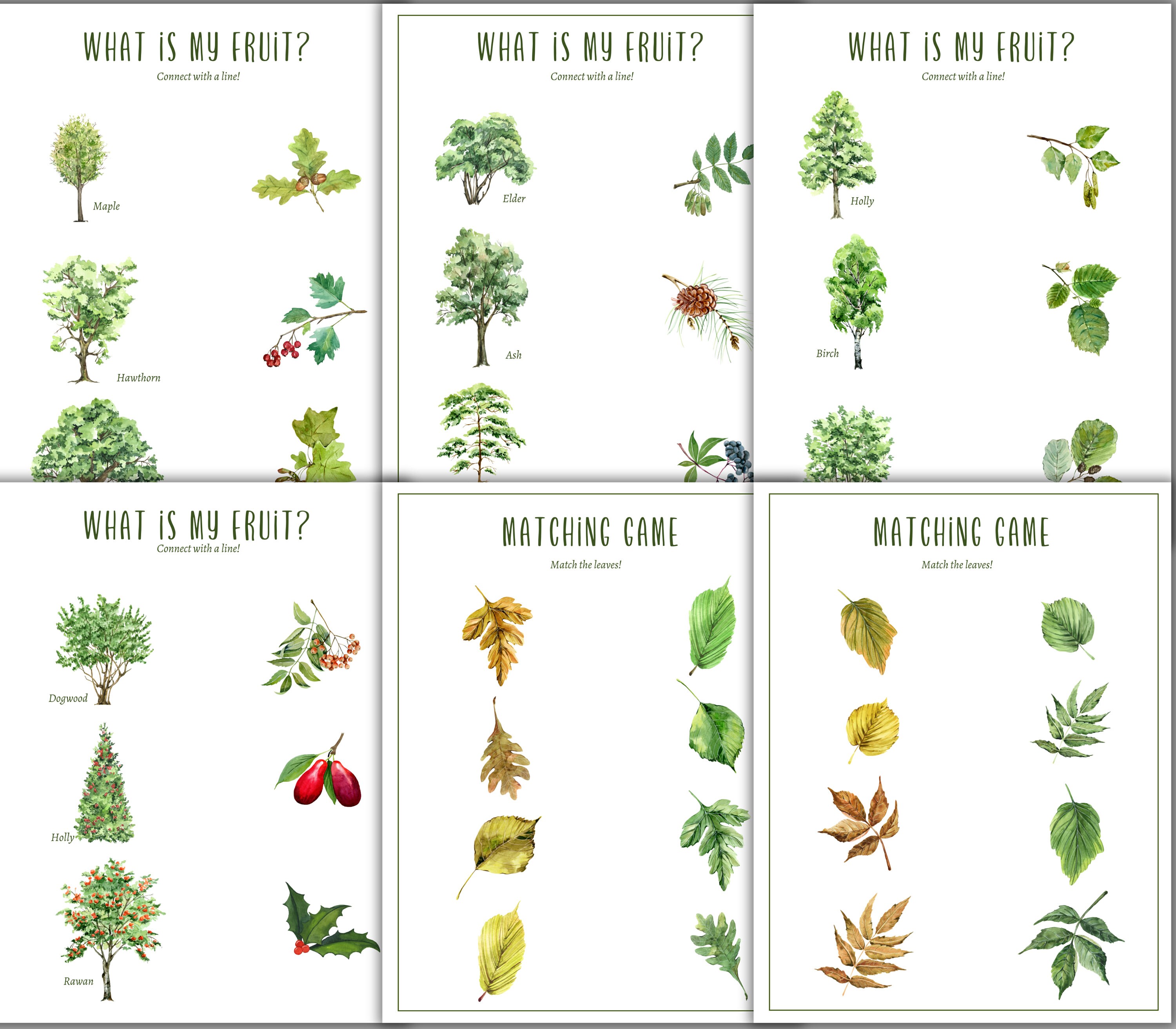 TREE Unit Study, Life Cycle, Anatomy, Nature Study, Science, Homeschool ...