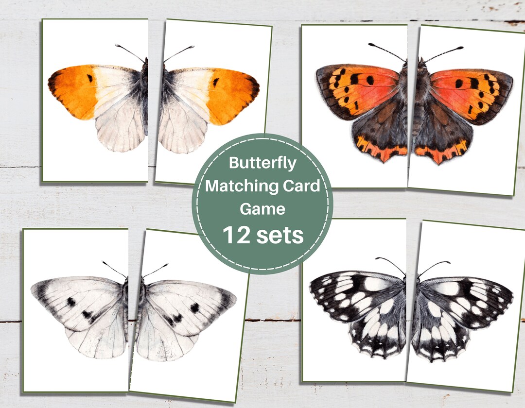 Butterfly Matching Card Game, Symmetry Puzzle, Toddler Preschool ...