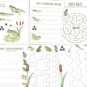 FROG Unit Study, Life Cycle, Anatomy, Nature Study, Science, Homeschool ...