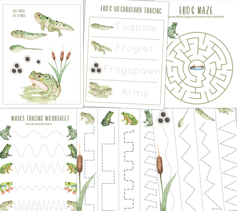 FROG Unit Study Life Cycle Anatomy Nature Study Science - Etsy