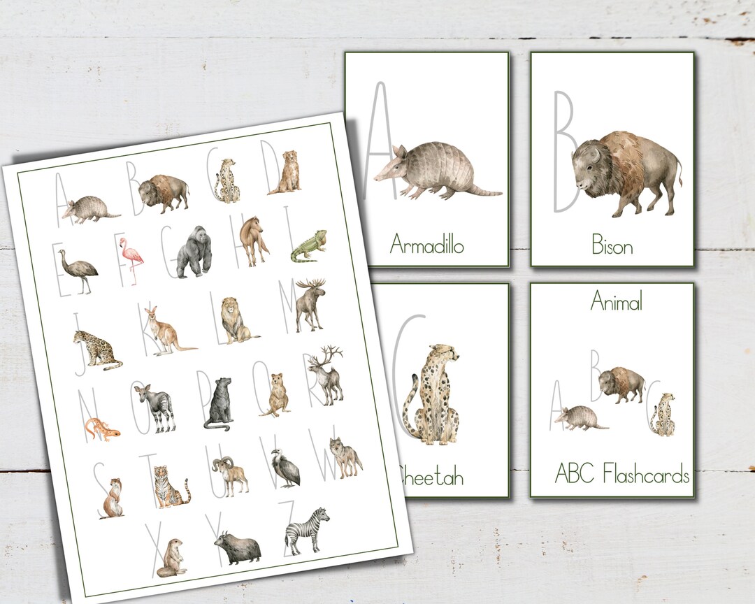 Animal ABC Flash Cards, Mini-poster | Animal Flash Cards | Learning ...