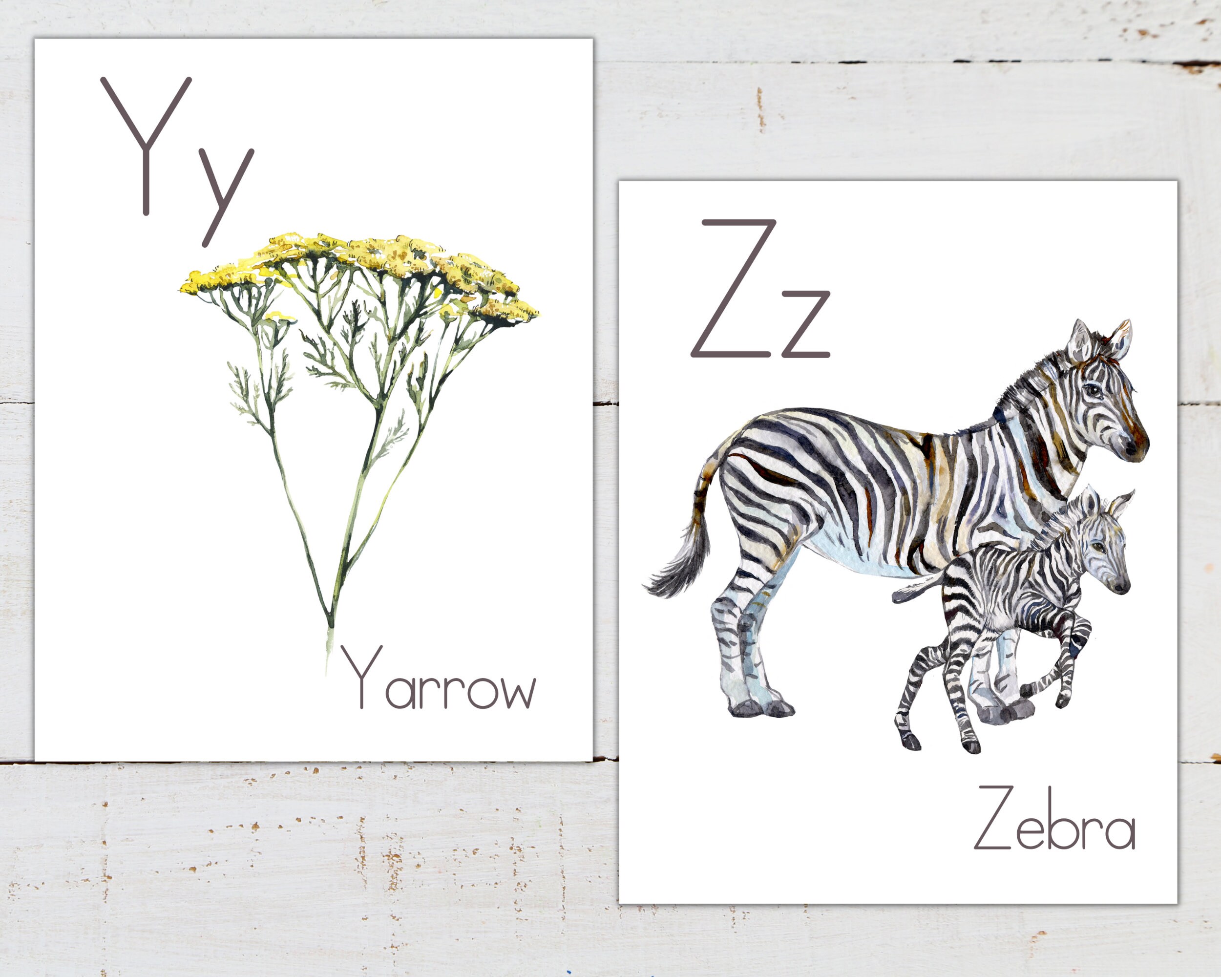 Alphabet Posters, Large Format for Classroom Use - Etsy
